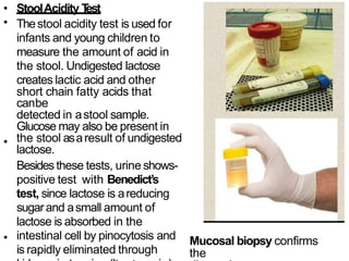 CHO Digestion.pptx assignment for first year | PPTX