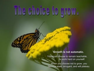 Choices that shape | PPS
