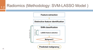 Quantitative Image Analysis for Cancer Diagnosis and Radiation Therapy ...