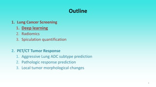 Quantitative image analysis for cancer diagnosis and radiation therapy ...