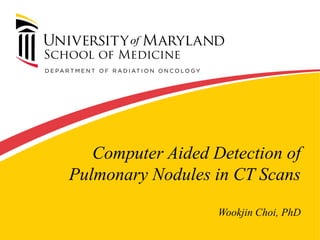 computer aided detection of pulmonary nodules in ct scans | PPT