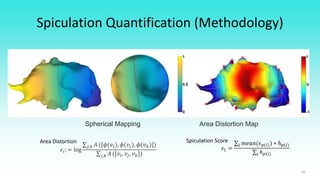Interpretable Spiculation Quantification for Lung Cancer Screening | PPT