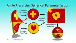 Interpretable Spiculation Quantification for Lung Cancer Screening | PPT