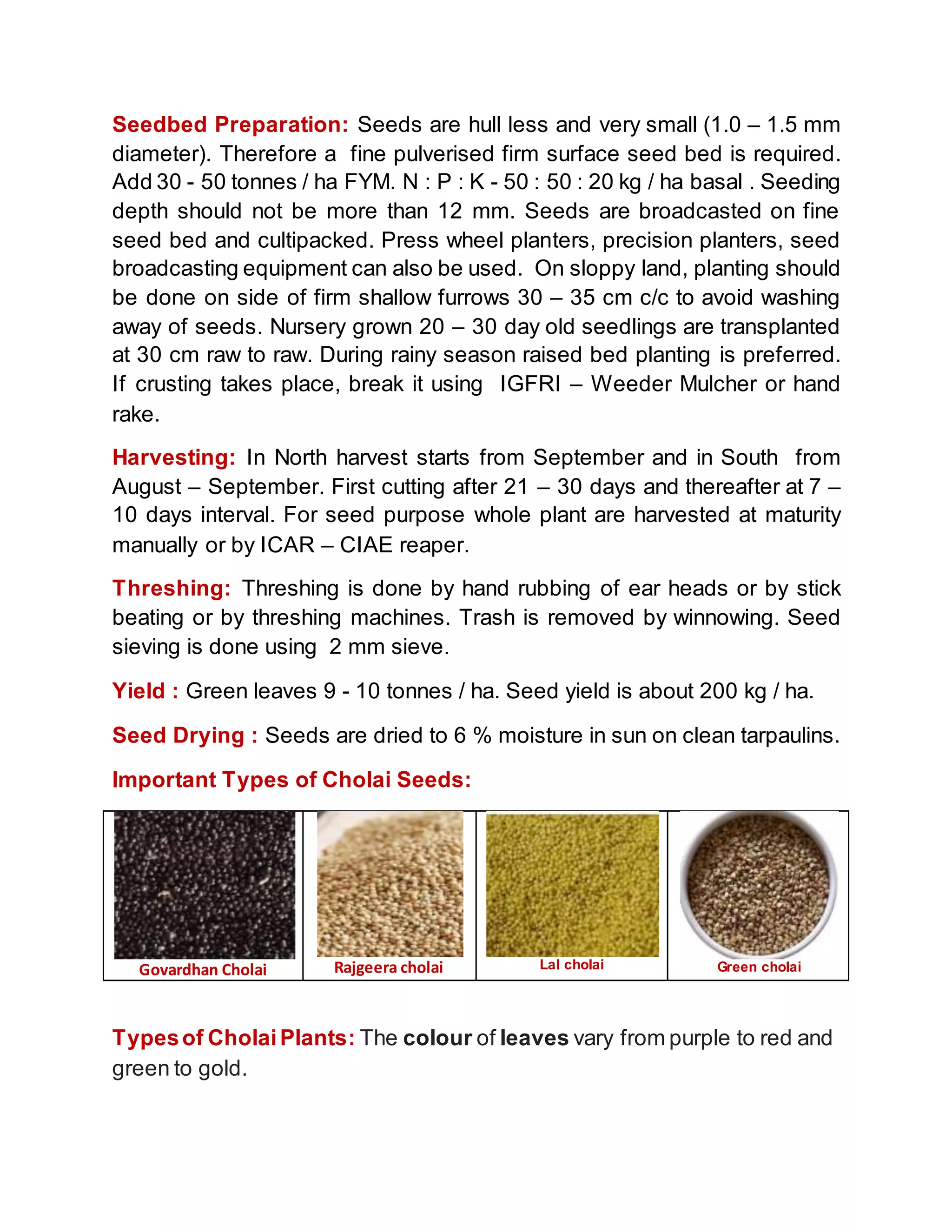 CHOLAI (AMARANTHUS tricolour L) - A NUTRIENT POWER HOUSE – PRODUCTION ...