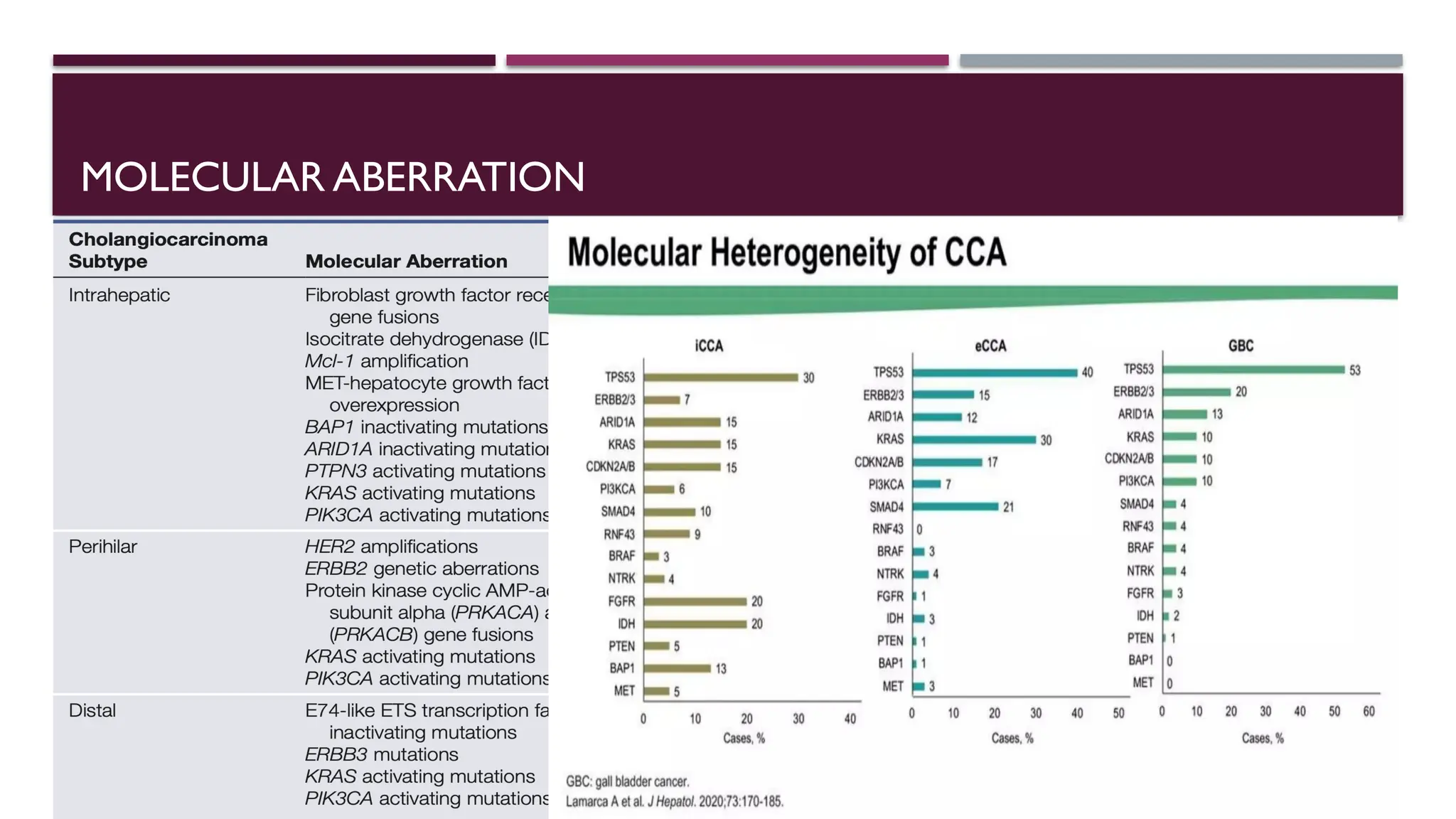 Cholangiocarcinoma, risk factors,types,clinical features,managment,ESMO guidelines 2022,NCCN ...