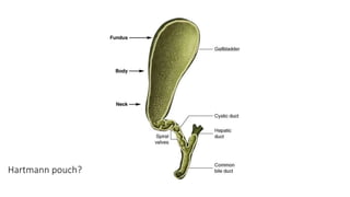 Acute Cholecystitis | PPTX