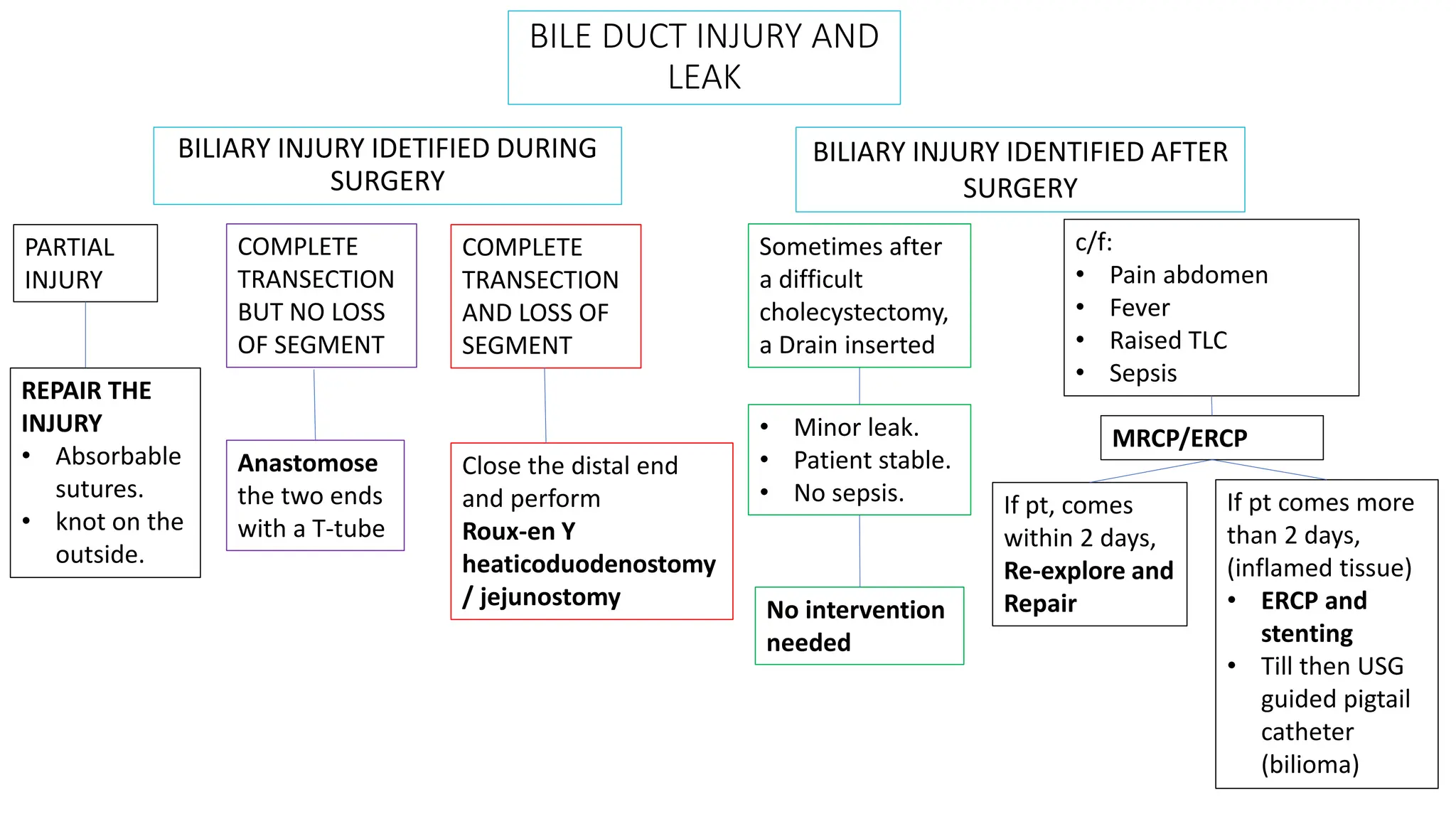 CHOLECYSTECTOMY - ANATOMY, TYPES, SURGICAL STEPS, ERRORS ...