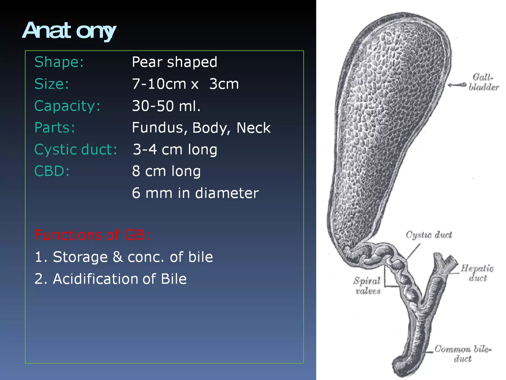 Cholecystitis | PPT
