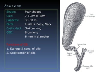Cholecystitis | PPT