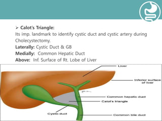 Cholecystitis | PPTX
