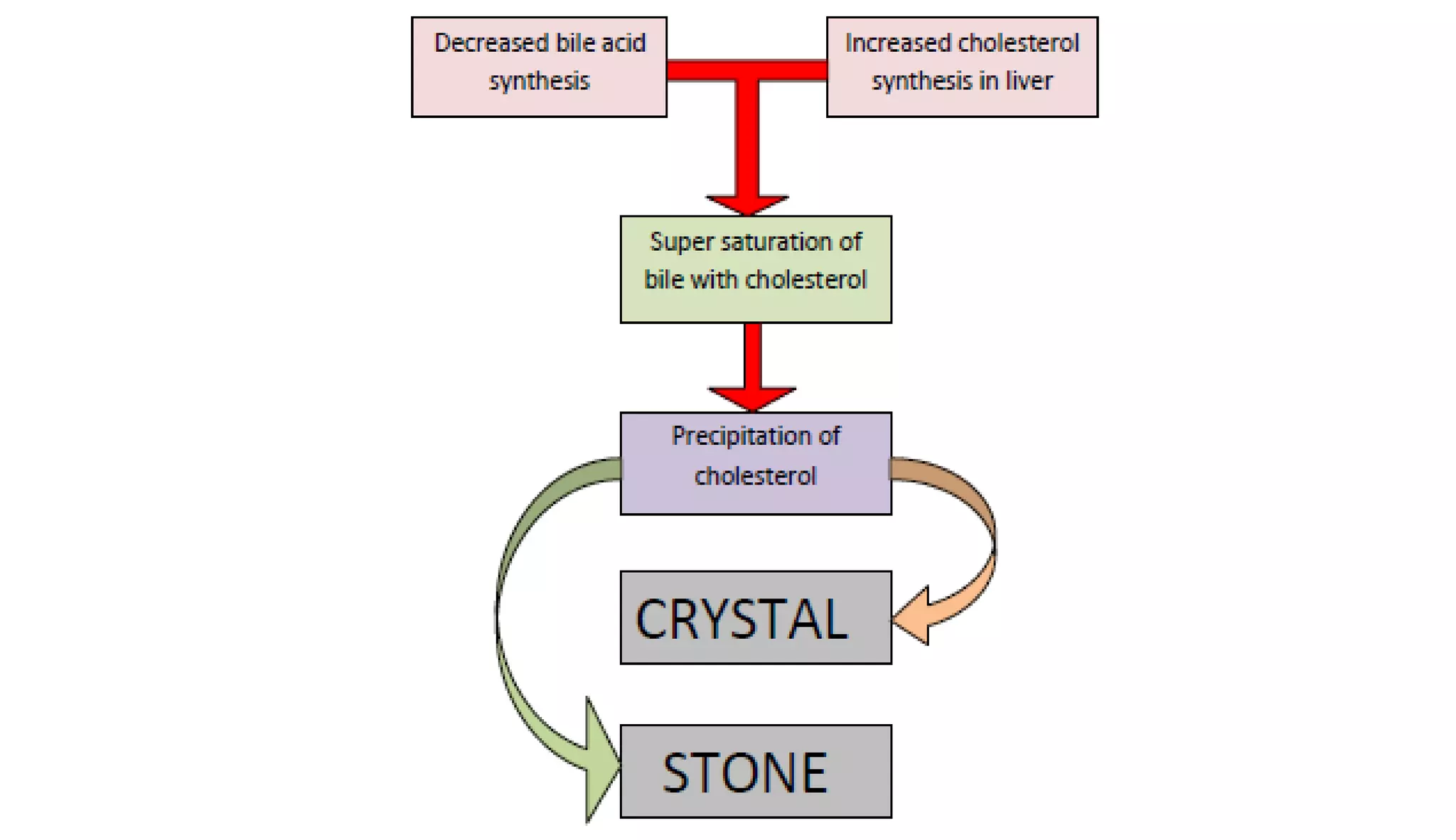 Pathophysiology of Cholecystitis and cholelithiasis | PDF