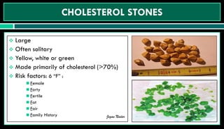 Pathophysiology of Cholecystitis and cholelithiasis | PDF