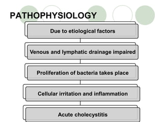 Cholelithiasis Pathophysiology