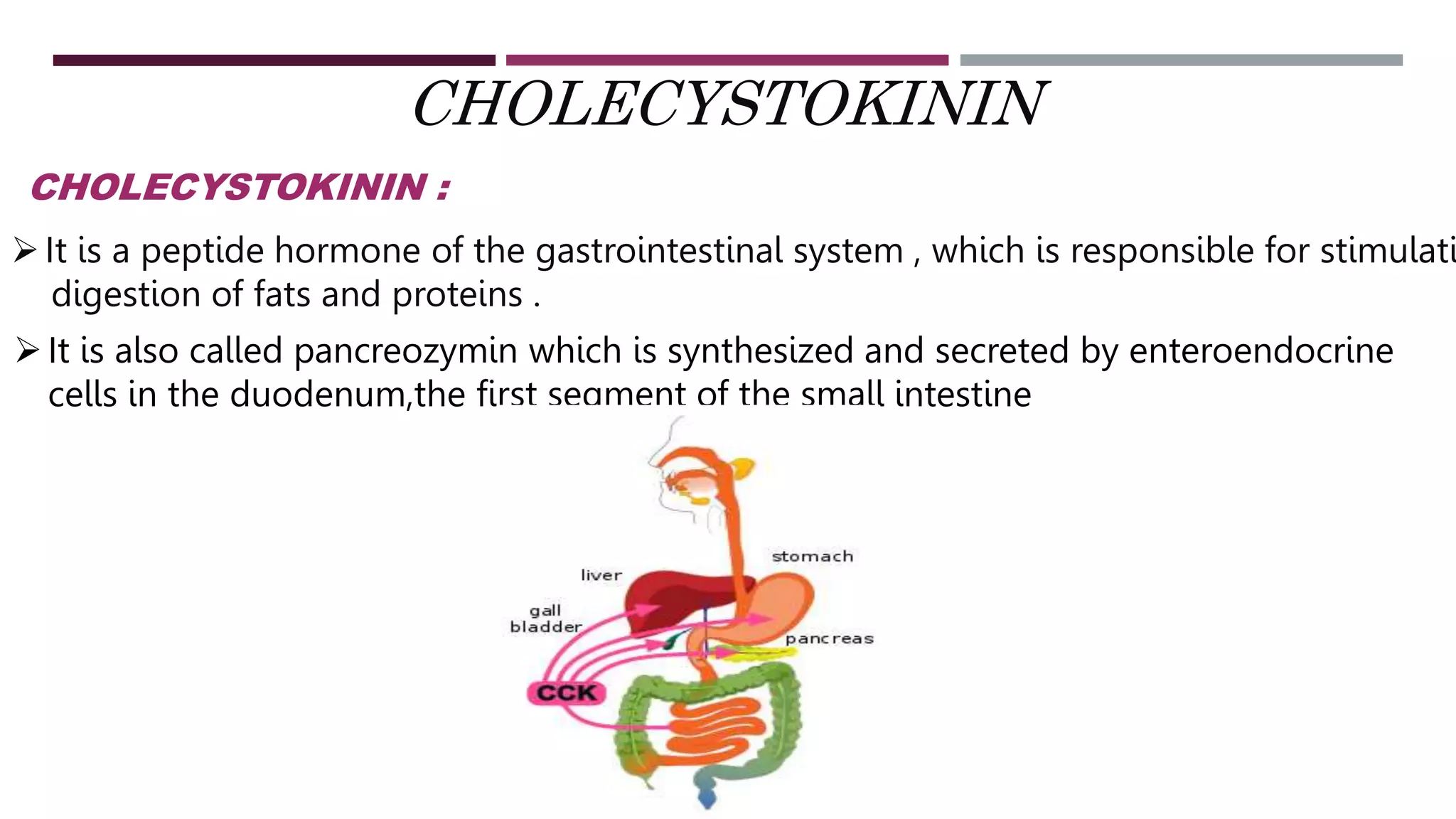 cholecystokinin ppt.pptx