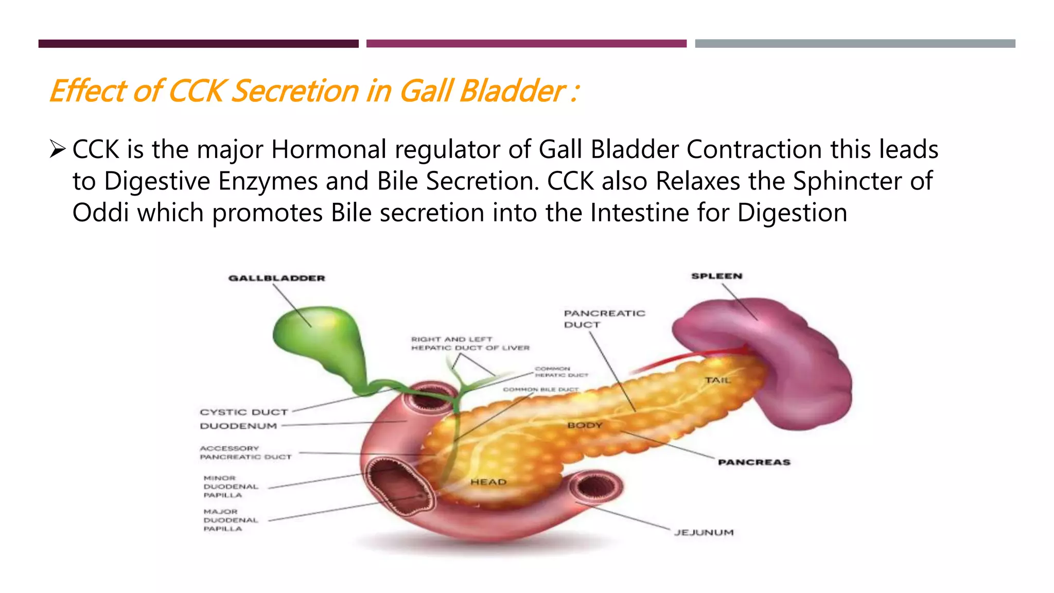 cholecystokinin ppt.pptx