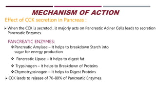 cholecystokinin ppt.pptx