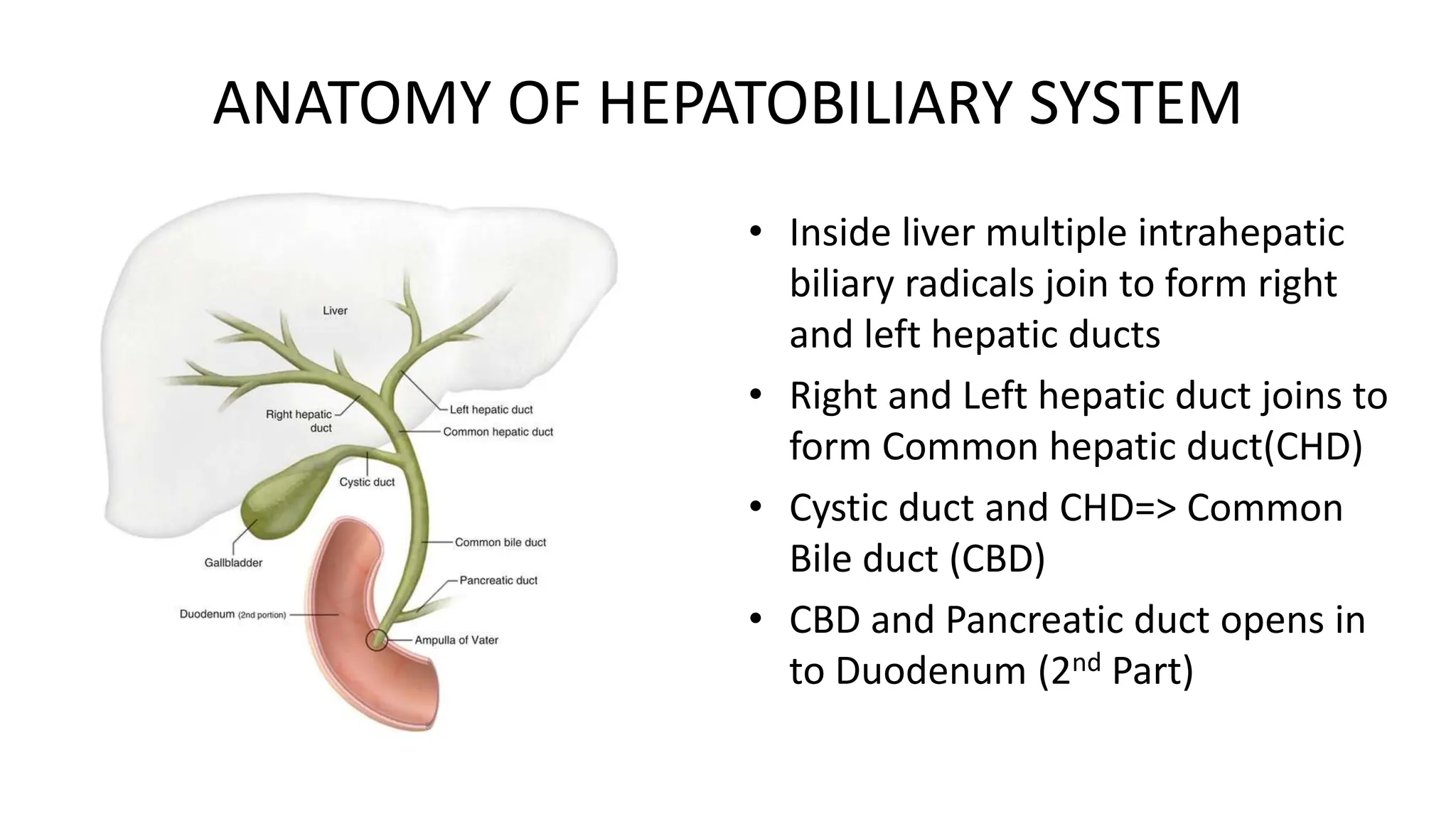 cholecytitis final.pptx