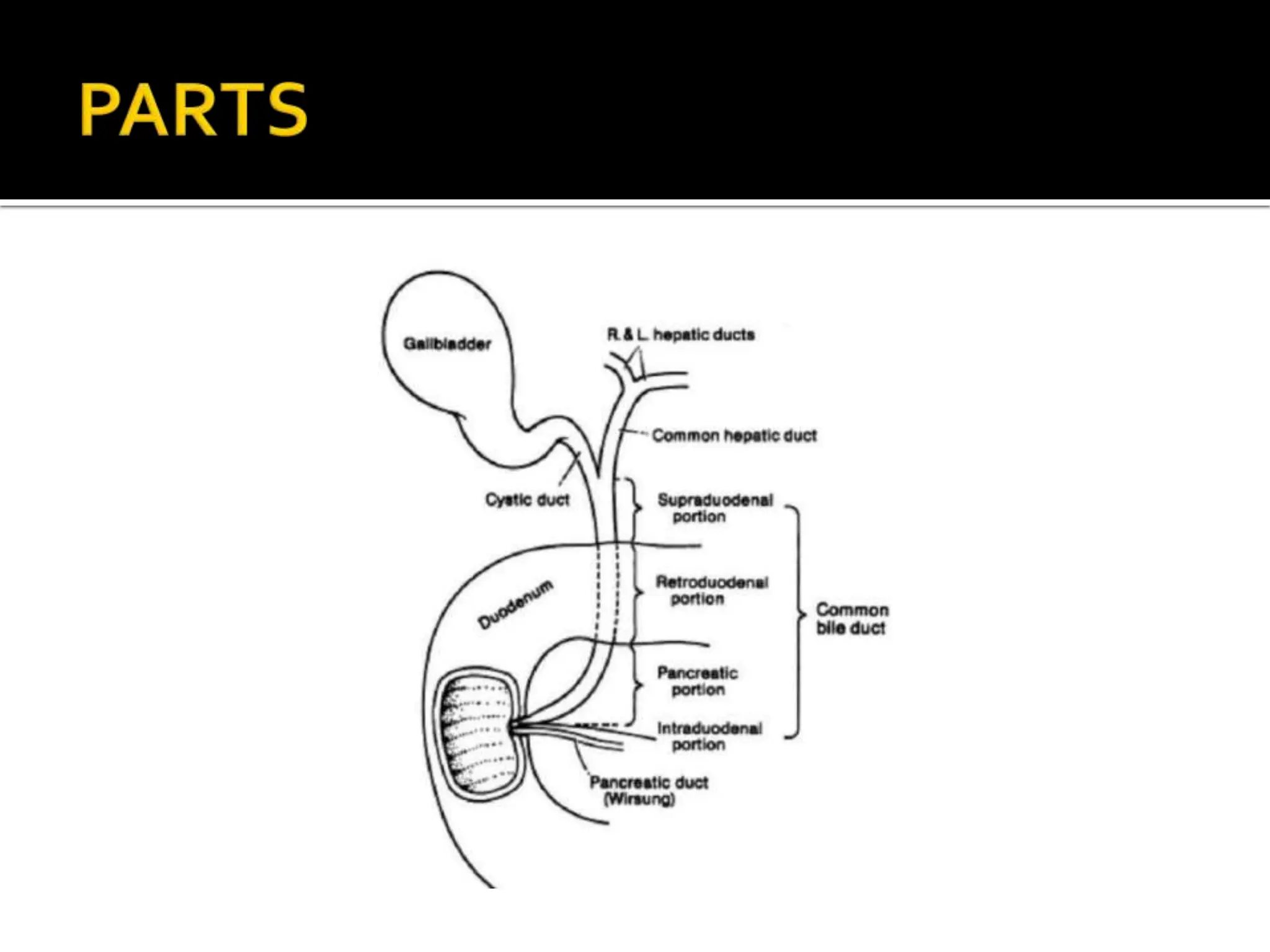 Endocopic, open and laparoscopic management of common bile duct stones.pptx