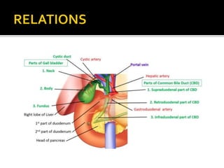 Endocopic, open and laparoscopic management of common bile duct stones.pptx