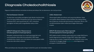 Choledocholithiasis-Penyakit-Batu-Saluran-Empedu[1].pdf
