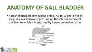 Anatomy of Cholelithiasis | PPTX