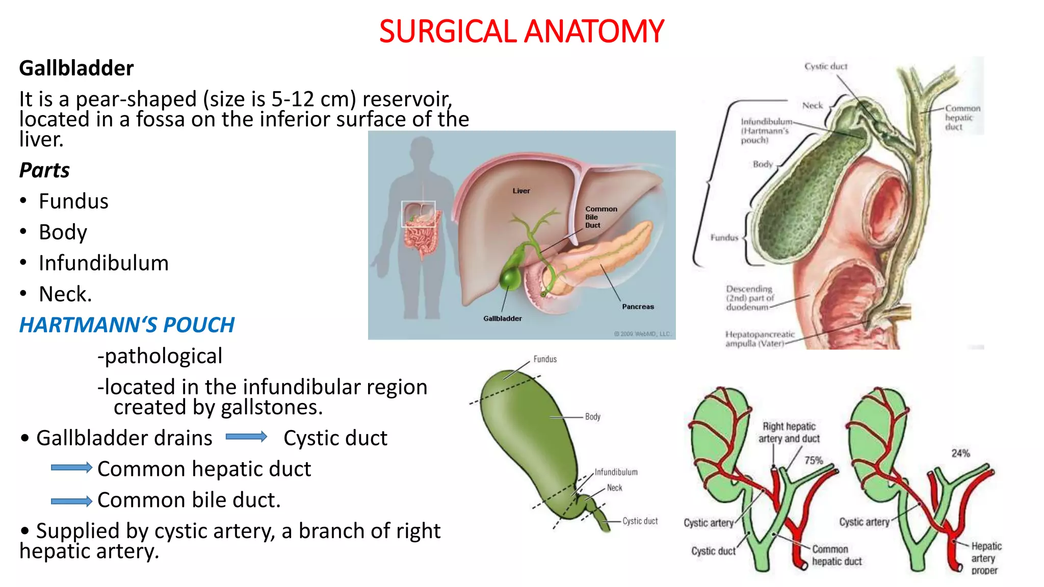 Cholelithiasis and cholecystitis | PPTX