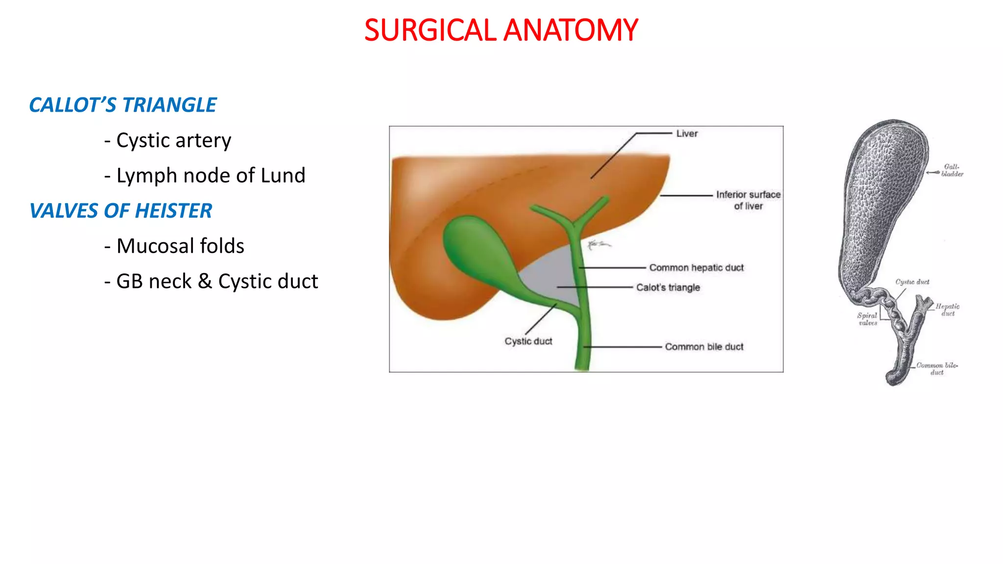 Cholelithiasis and cholecystitis | PPTX