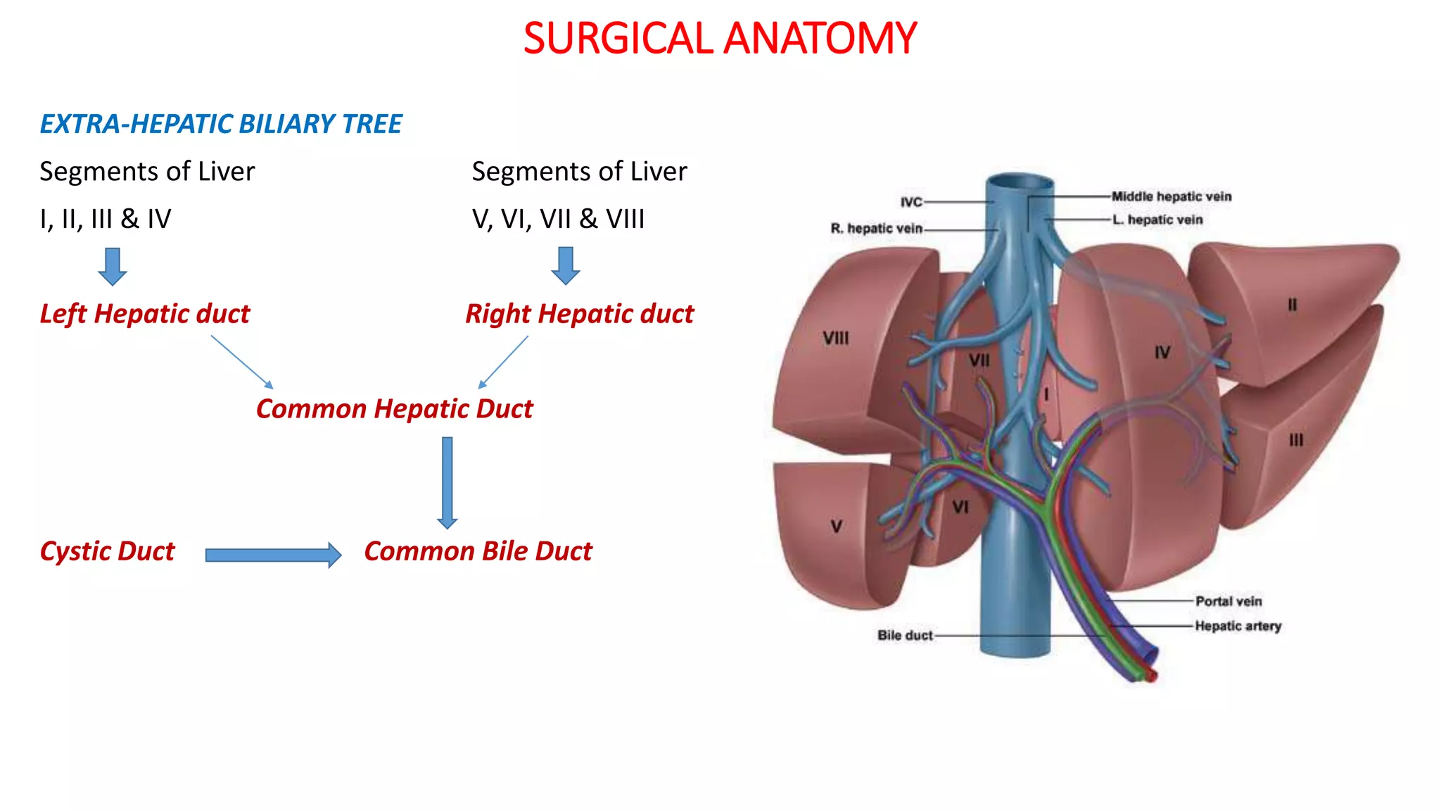 Cholelithiasis and cholecystitis | PPTX