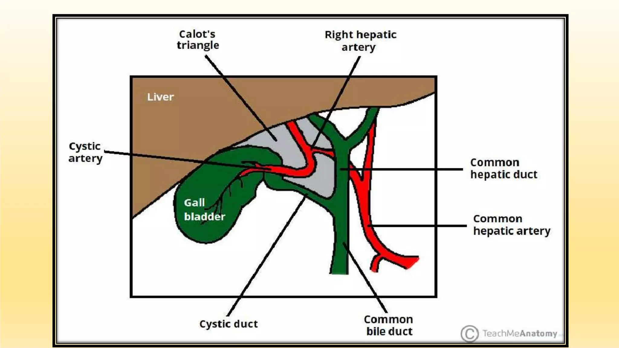 cholelithiasis & choledolithiasis.pptx