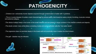 Vibrio cholera disease presentation slide | PPTX | Infectious Diseases ...