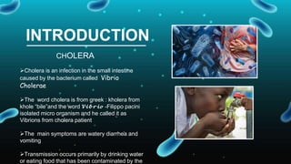 Vibrio cholera disease presentation slide | PPTX