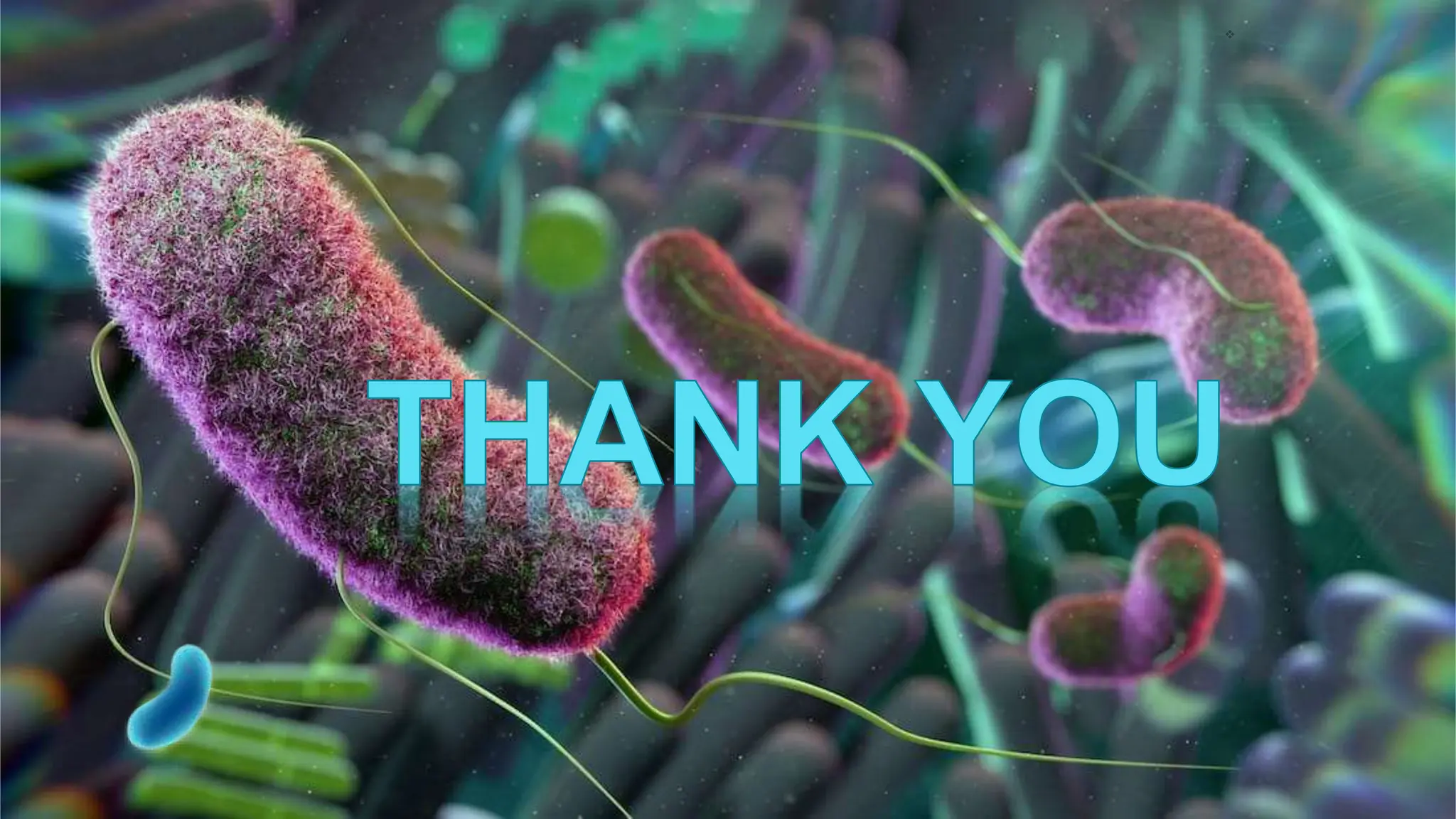 Vibrio cholera disease presentation slide | PPT