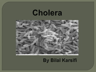 Cholera | PPTX | Infectious Diseases | Diseases and Conditions
