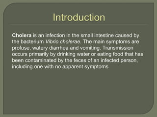 Cholera | PPTX | Infectious Diseases | Diseases and Conditions