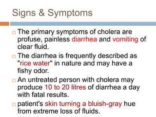 Cholera 121224075437-phpapp01 | PPTX