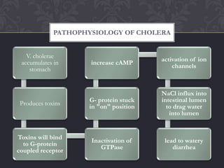 Cholera | PPTX