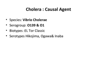 Cholera | PPT