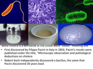 Cholera | PPT