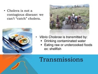 Cholera | PPTX