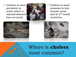 Cholera | PPTX