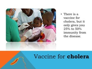 Cholera | PPTX