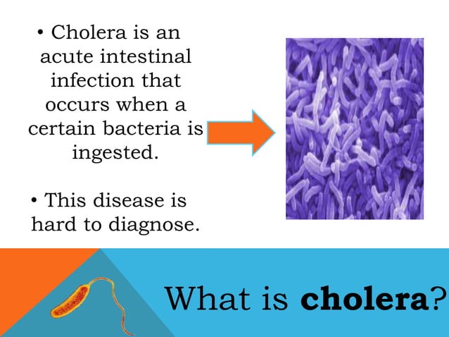 Cholera | PPTX
