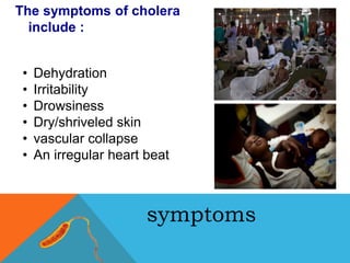Cholera | PPTX