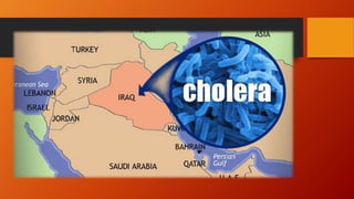 Cholera | PPT