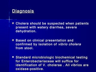 Cholera | PPT