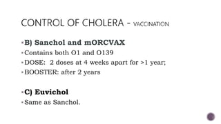 Cholera | PPT