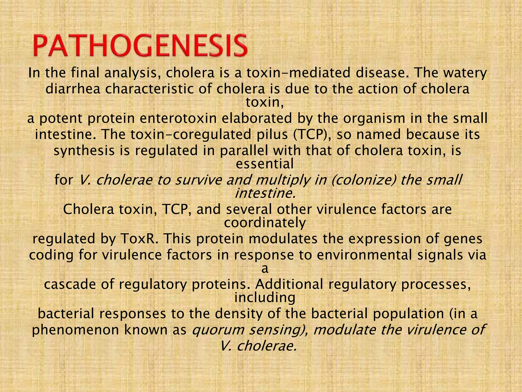 Cholera | PPTX