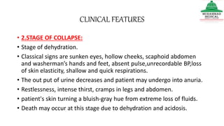 Epidemiology and Control Measures for Cholera | PPTX