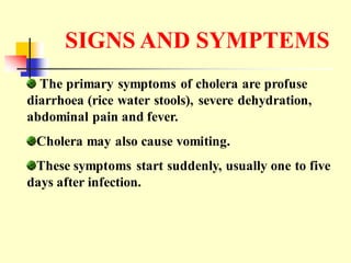 Cholera | PPT