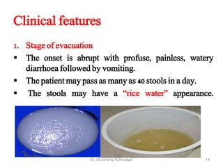 Epidemiology of Cholera | PDF